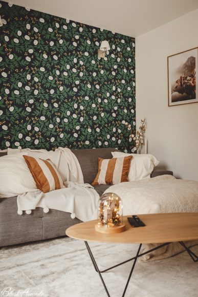 La décoration de mon salon télé avec des tons neutres et chaleureux